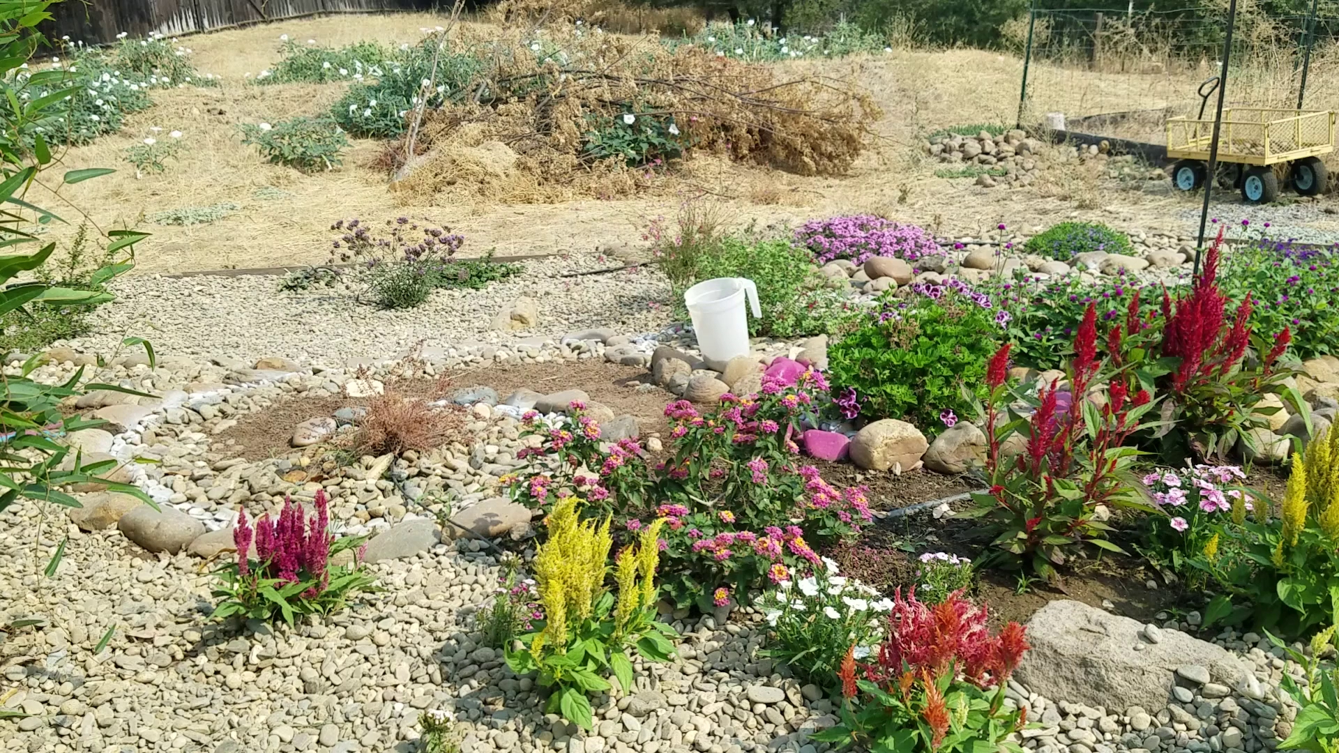 Sue's Custom Gardens | CA | Read Reviews + Get a Bid | BuildZoom