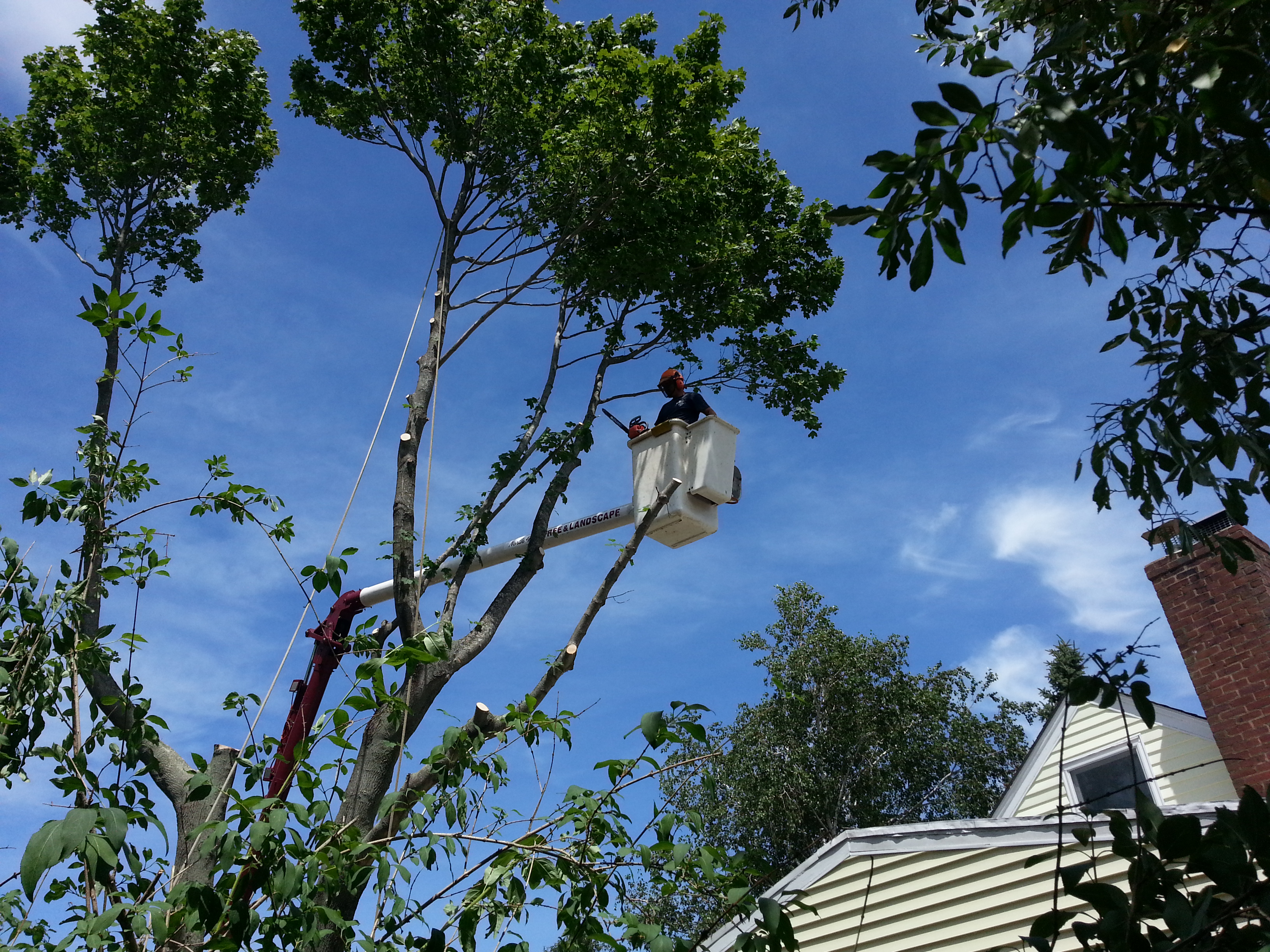 North Fork Tree & Landscape | NY | Read Reviews + Get a Bid | BuildZoom